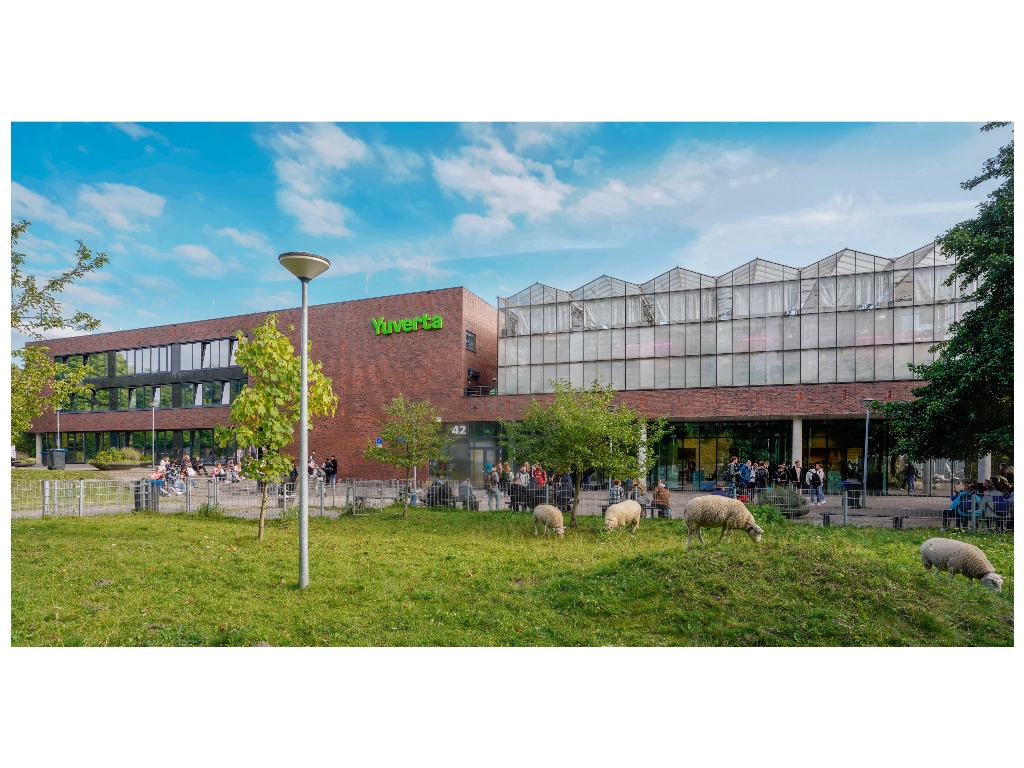 Yuverta vmbo Den Haag-Westvliet